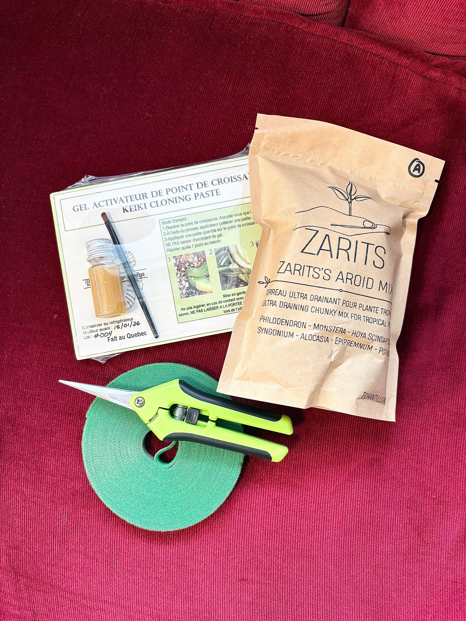 Le Bas Du Petit Jardinier – ZARITS